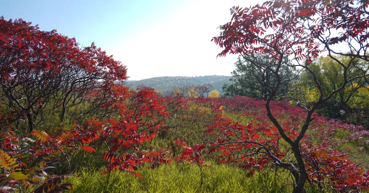 Tranquility in the Sheyenne Valley: Fort Ransom | Cass County Electric ...